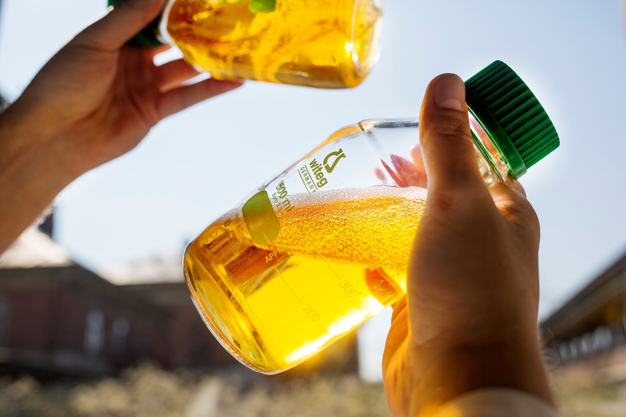 Pursuit of Better » Groundbreaking Research » New Ingredients ...