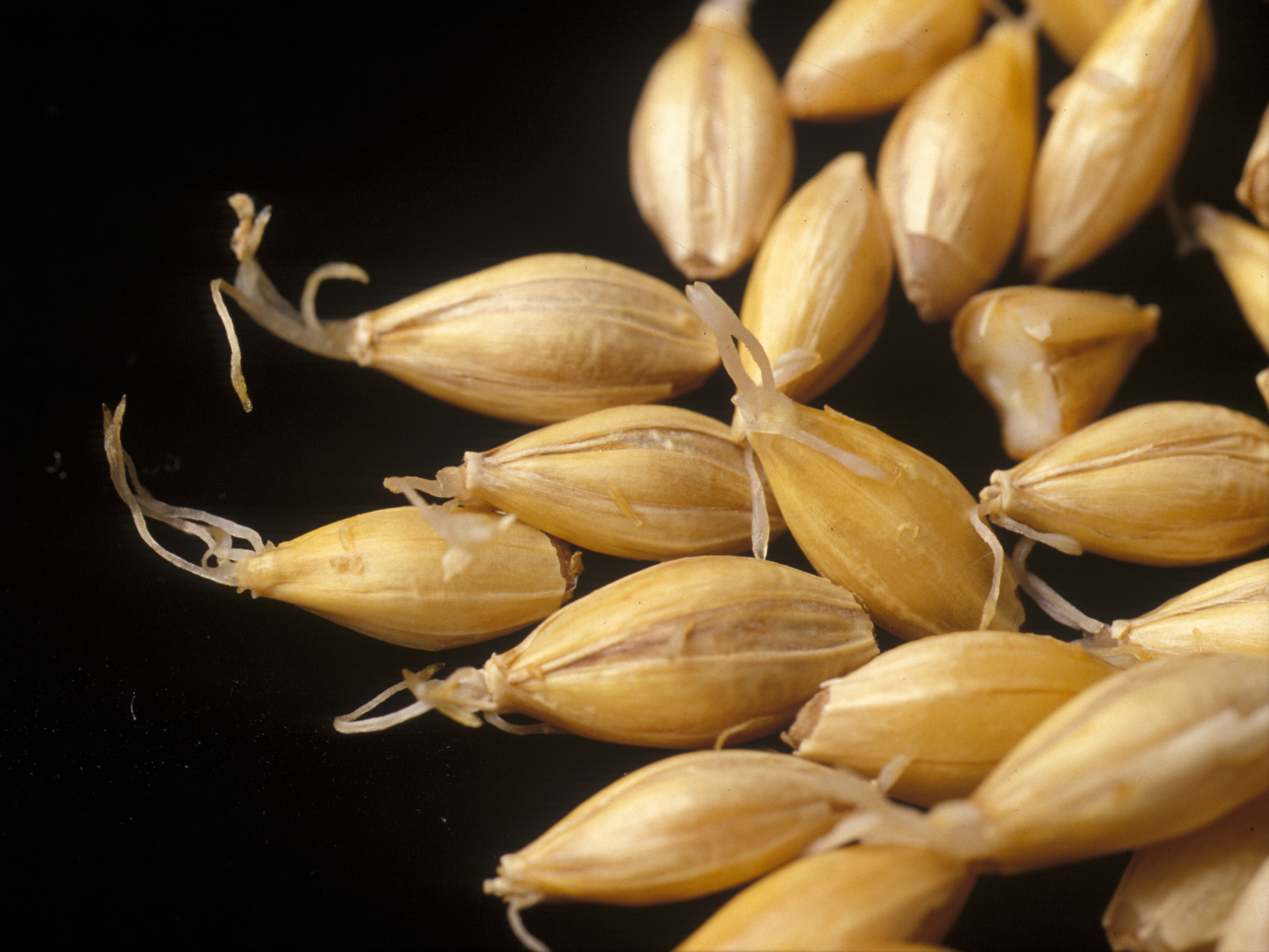 Who we are » Carlsberg Research Laboratory « Carlsberg Group