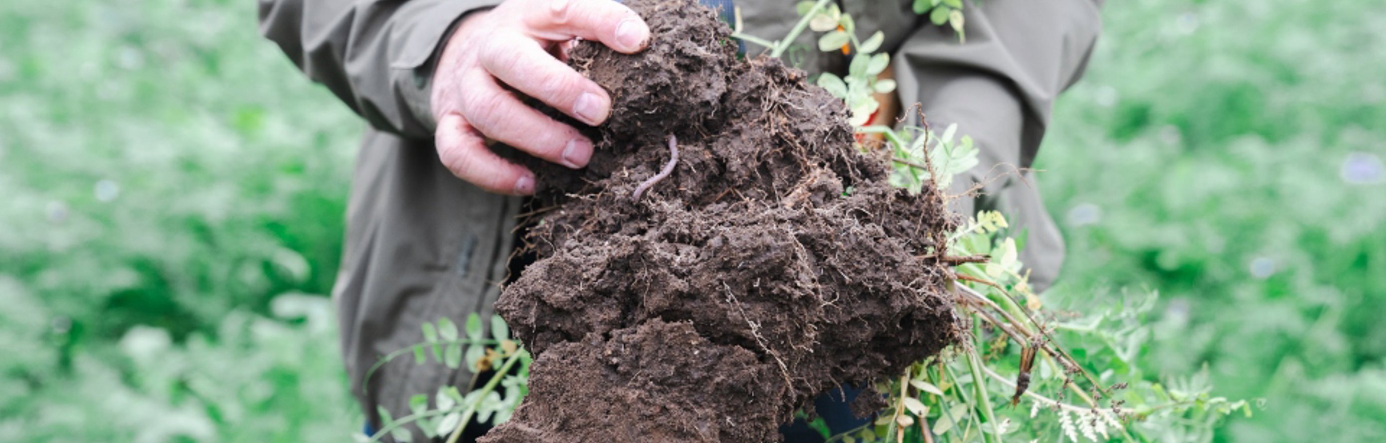 Sustainability » Case stories » Sourcing regenerative malt barley in ...